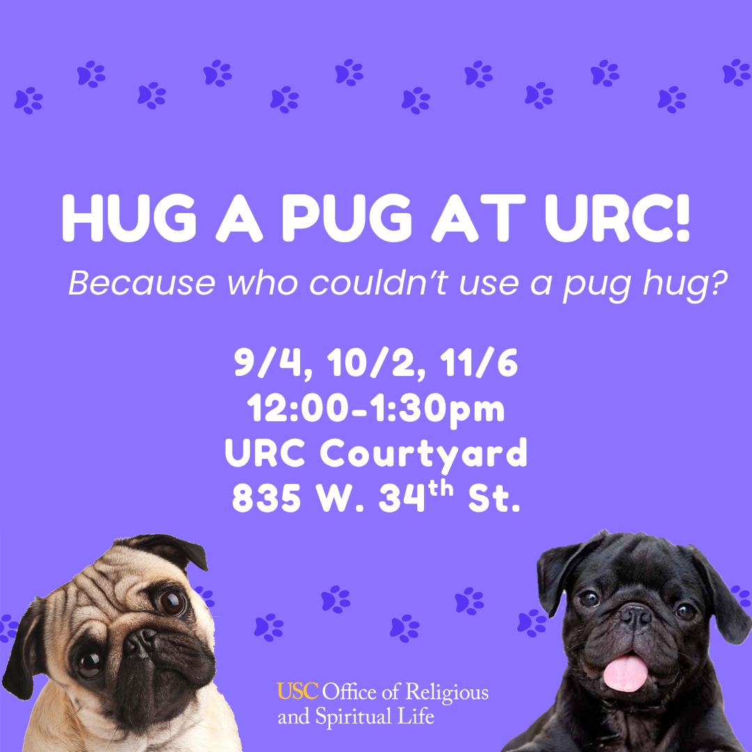 Hug-A-Pug – Office of Religious and Spiritual Life